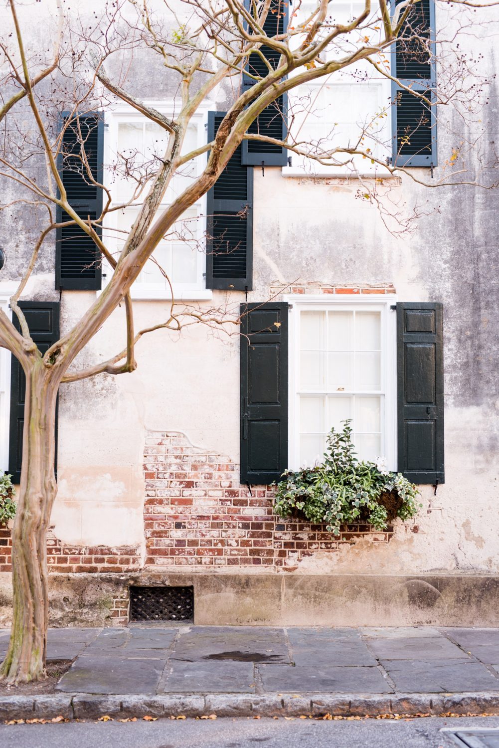 Charleston in Detail | A Detour Worth the Adventure | Samantha Webber